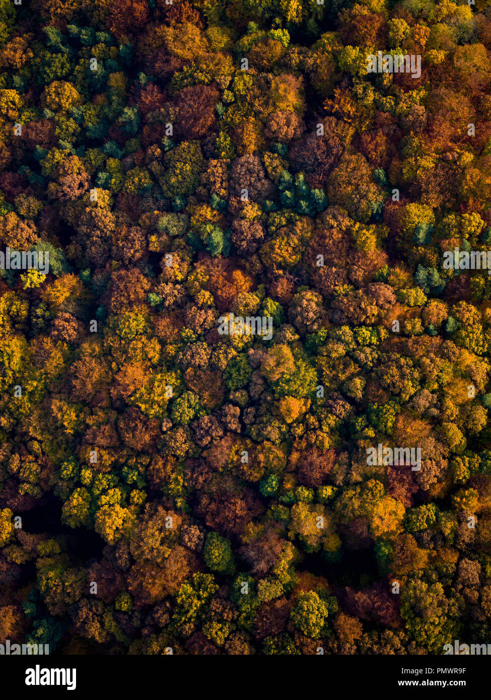 From above autumn hi-res stock photography and images - Alamy