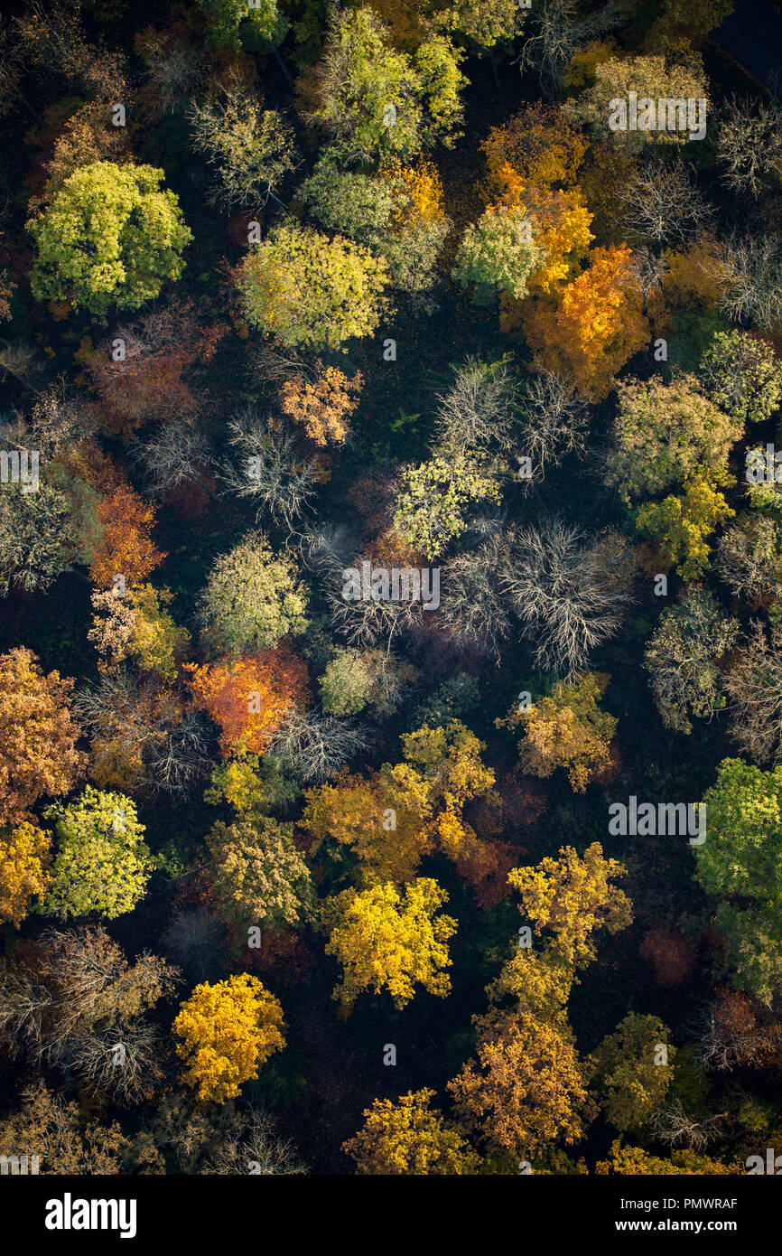From above autumn hi-res stock photography and images - Alamy