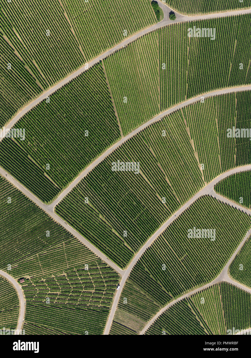 Crop crops vertical hi-res stock photography and images - Alamy