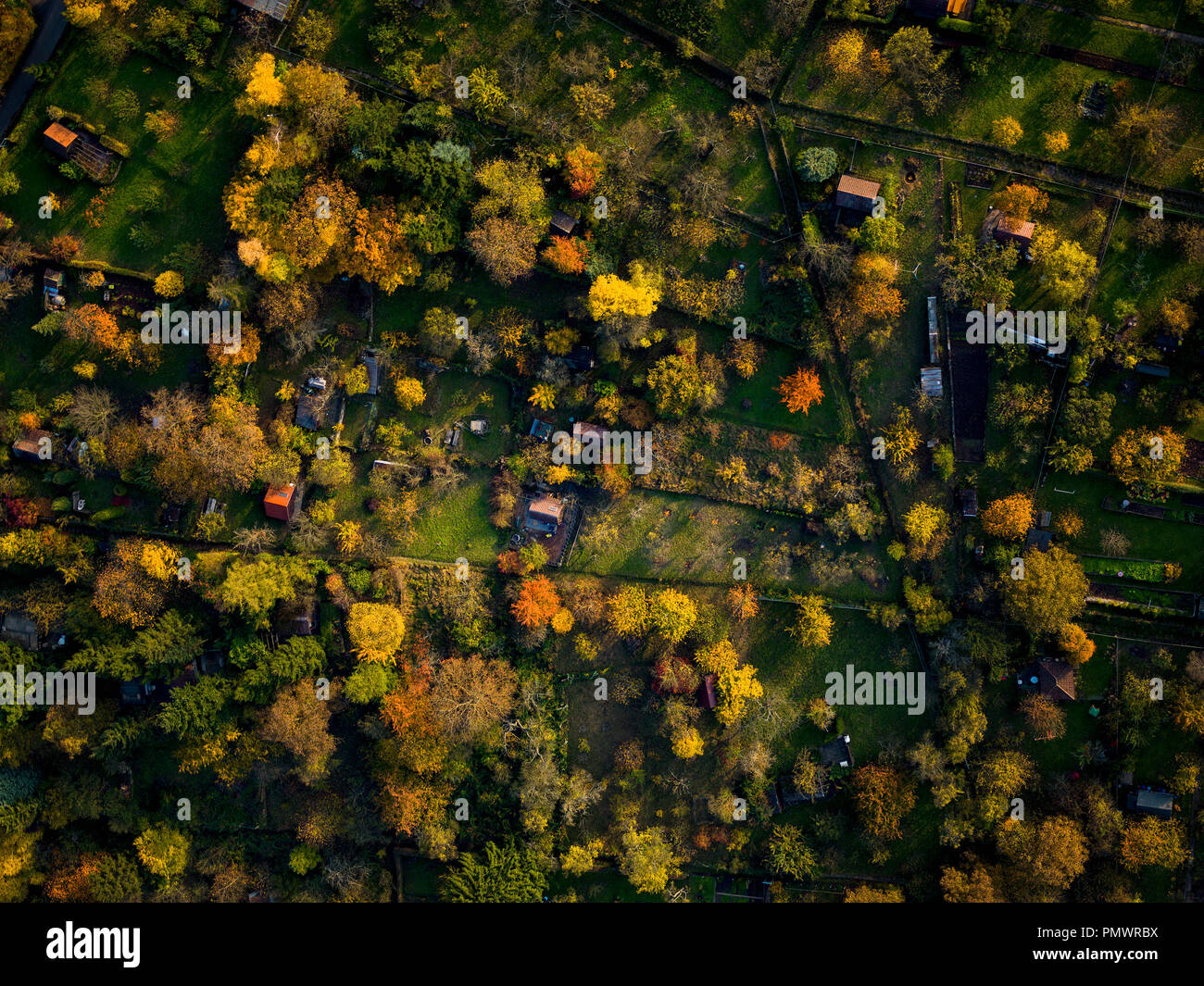 View from above autumn treetops and houses Stock Photo - Alamy