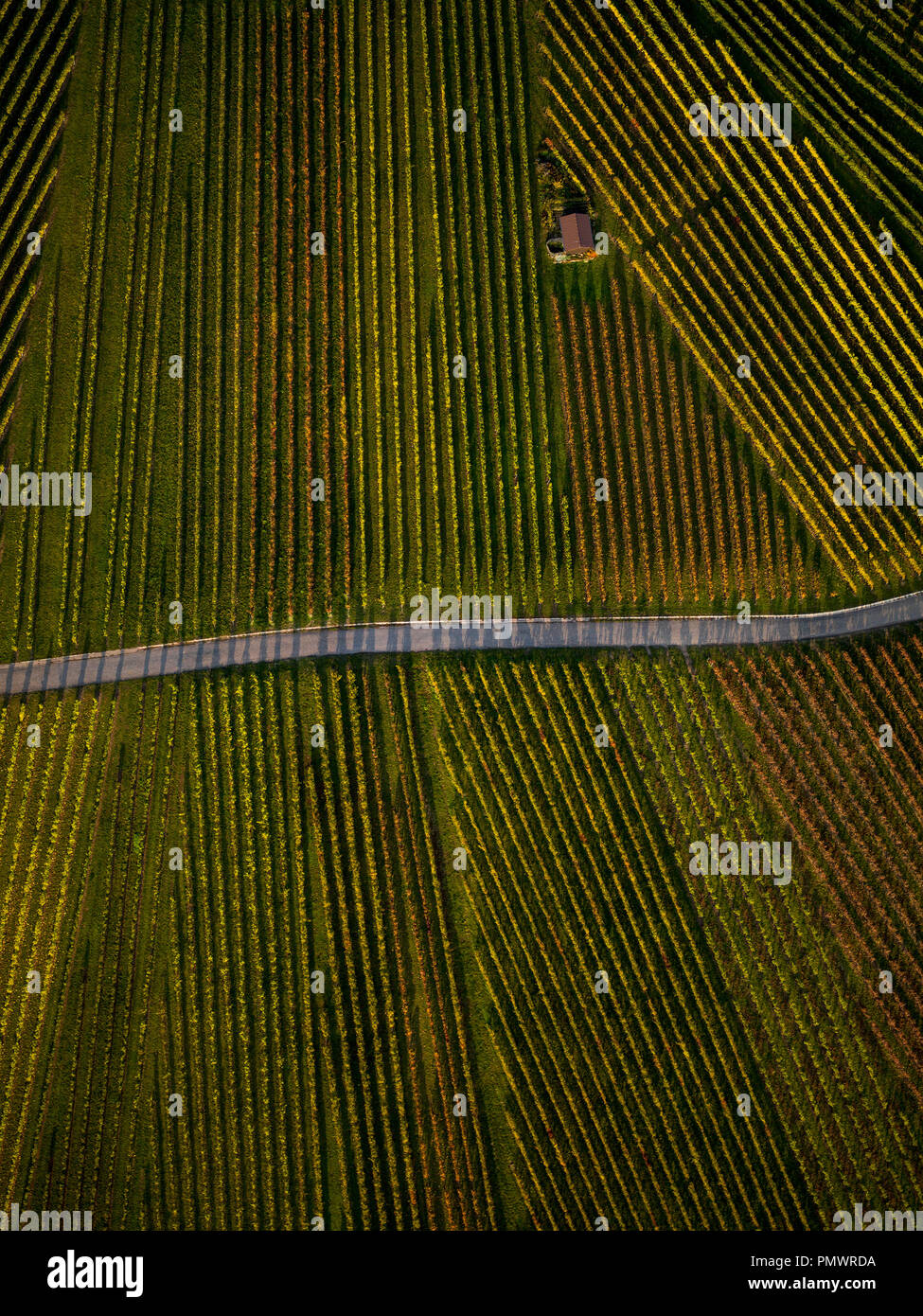 View from above textured green farmland crops Stock Photo - Alamy