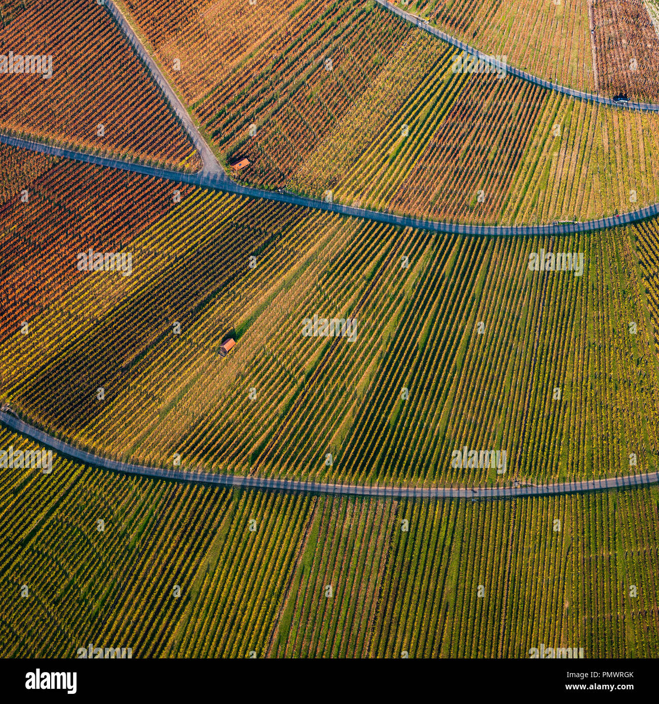Square field from above hi-res stock photography and images - Alamy