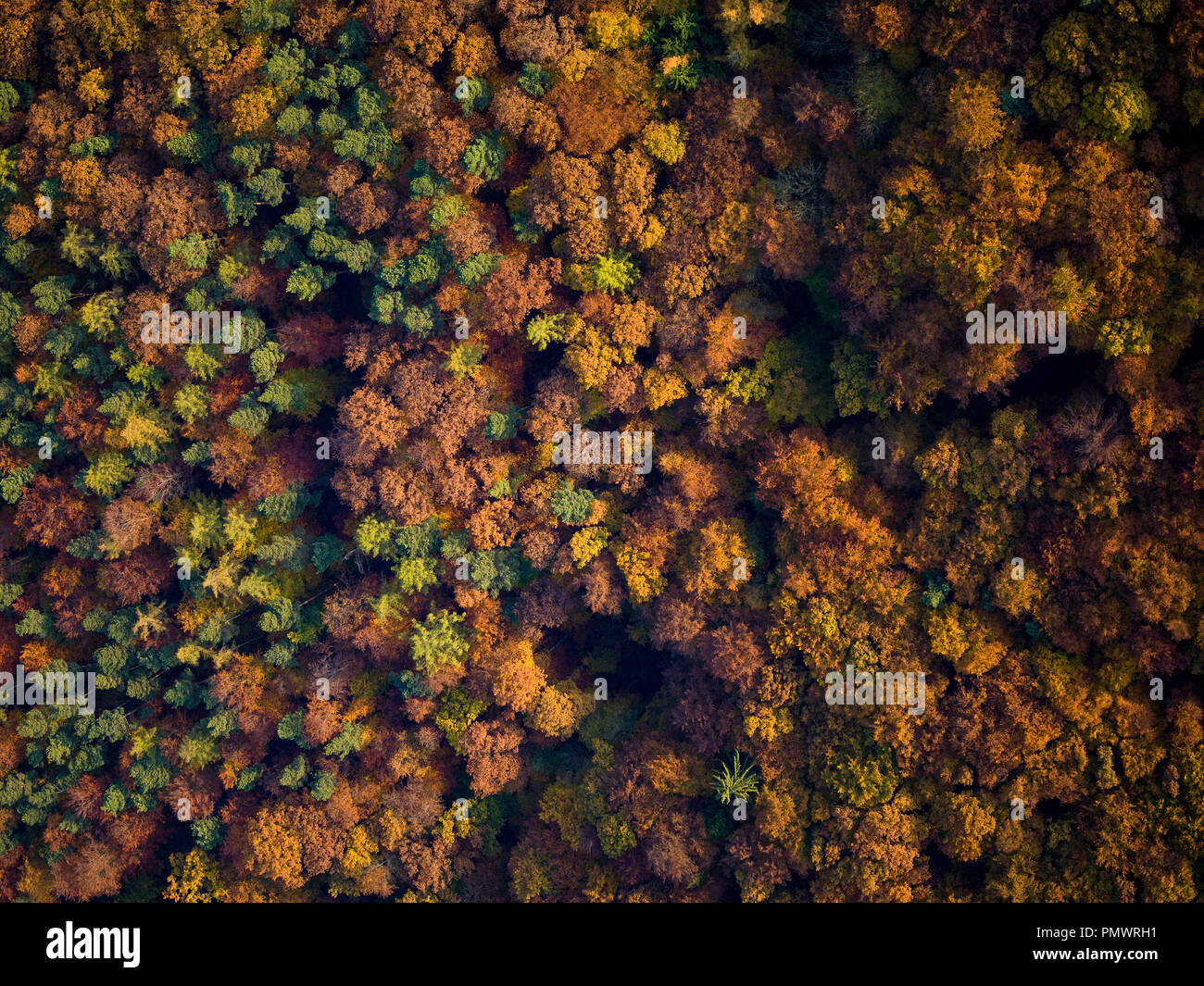 From above autumn hi-res stock photography and images - Alamy