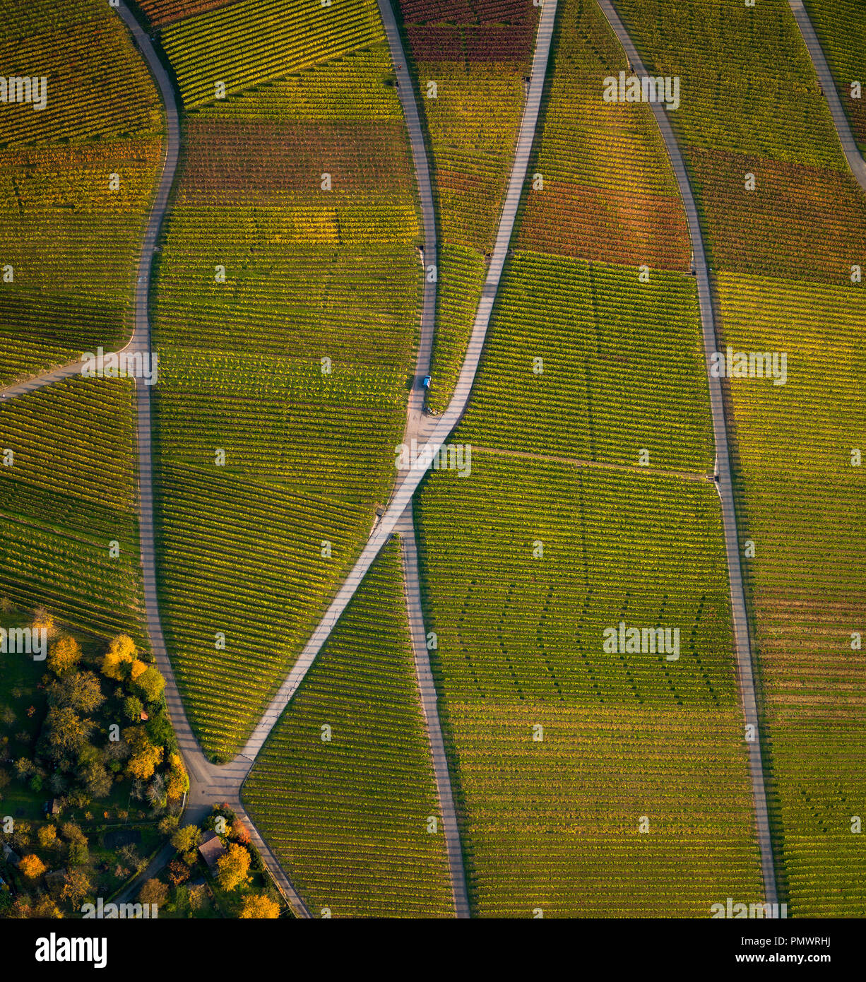 View from above textured green farmland crops Stock Photo - Alamy