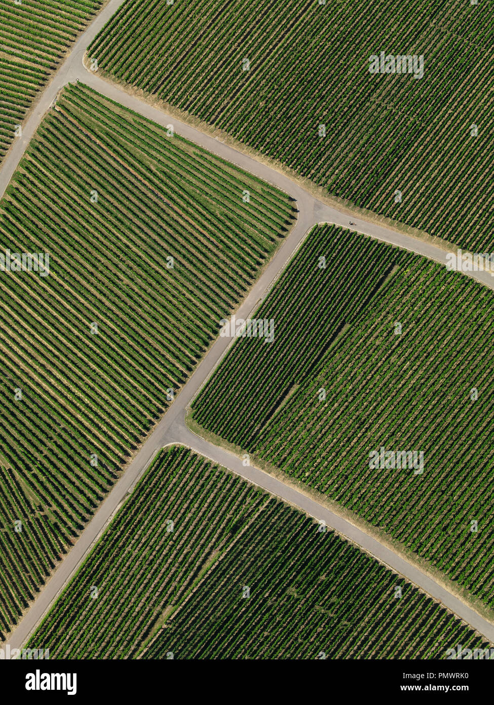 View from above textured green farmland crops Stock Photo - Alamy