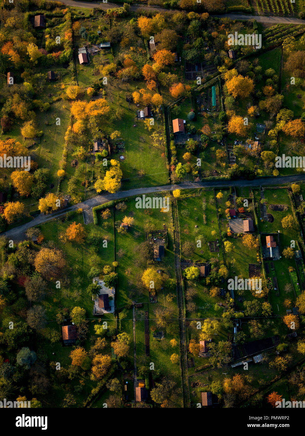 View from above autumn treetops and houses Stock Photo - Alamy