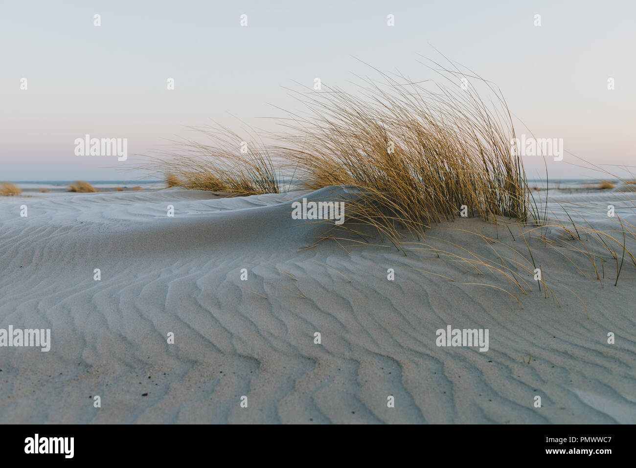 Moving beach sand dunes summer hi-res stock photography and images - Alamy