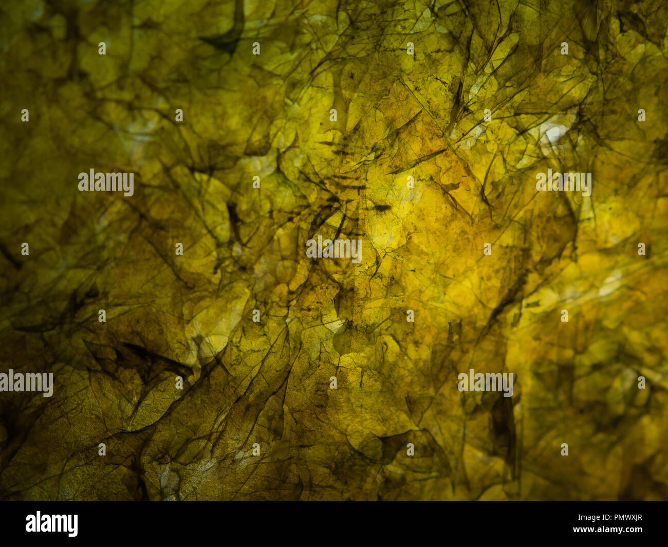 Onigiri texture hi-res stock photography and images - Alamy