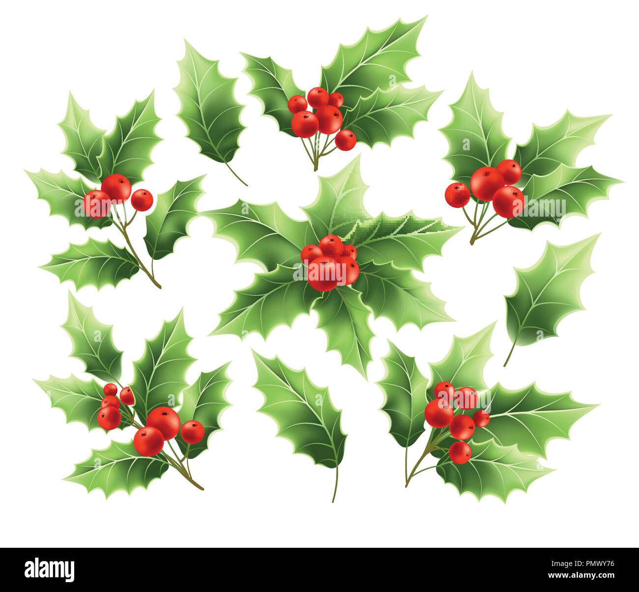Christmas vector holly branches Stock Vector Images - Alamy