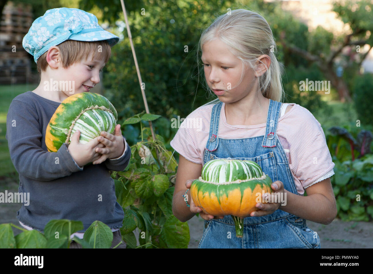 Two gourds hi-res stock photography and images - Alamy