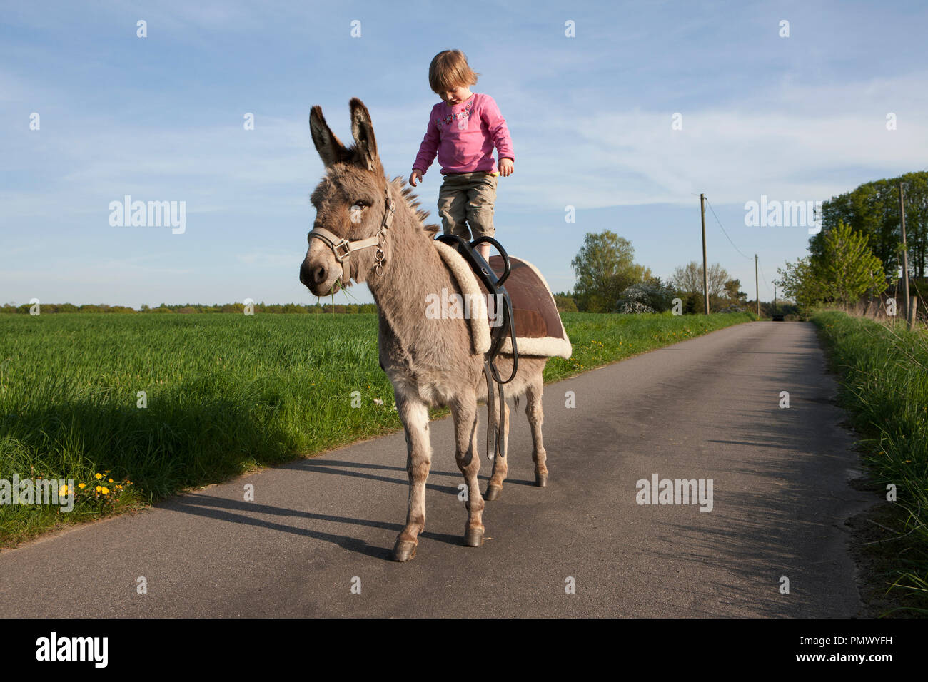 Girl riding donkey hi-res stock photography and images - Alamy
