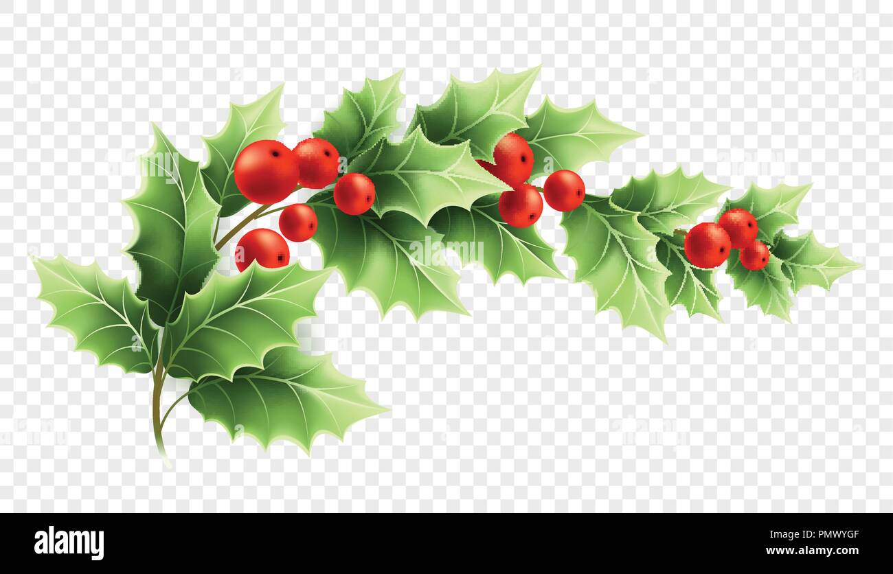 Christmas holly branch realistic illustration Stock Vector Image & Art ...
