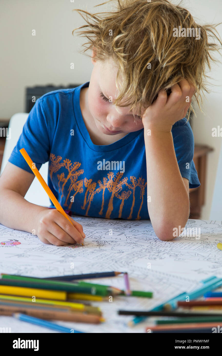 Focused boy coloring Stock Photo - Alamy