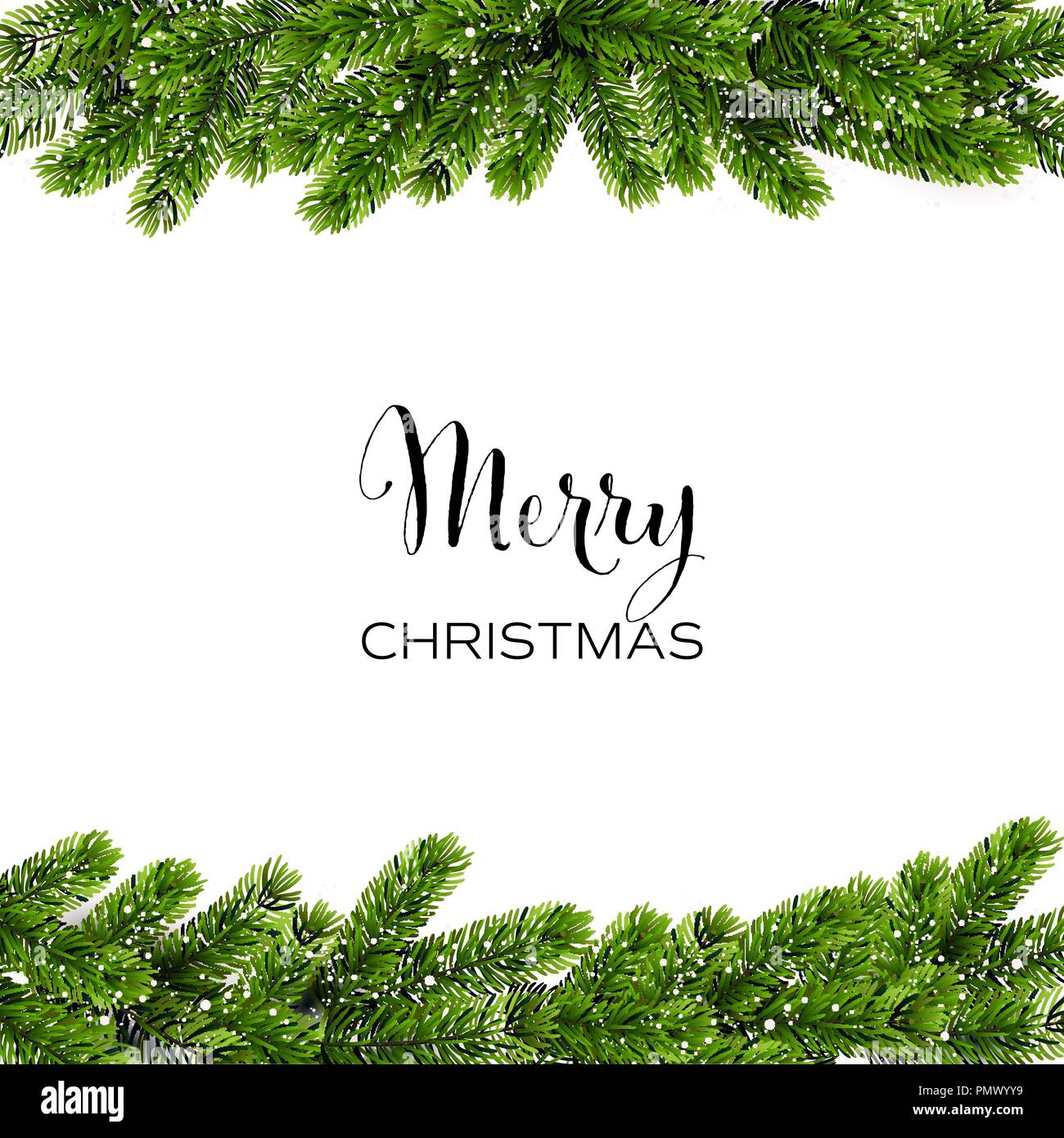 Christmas background with green Pine Branches. Vector Stock Vector ...