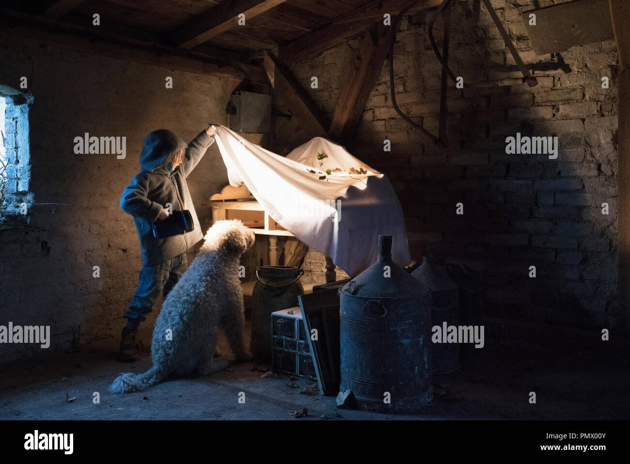 Girl and dog with flashlight peeking under cloth in carpentry workshop ...