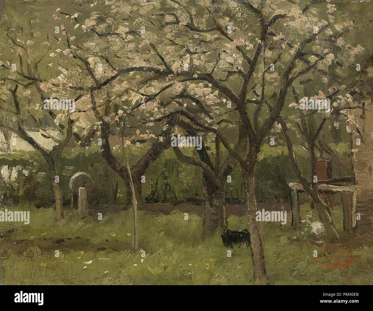 Bloeiende bomen in een boomgaard Stock Photo - Alamy