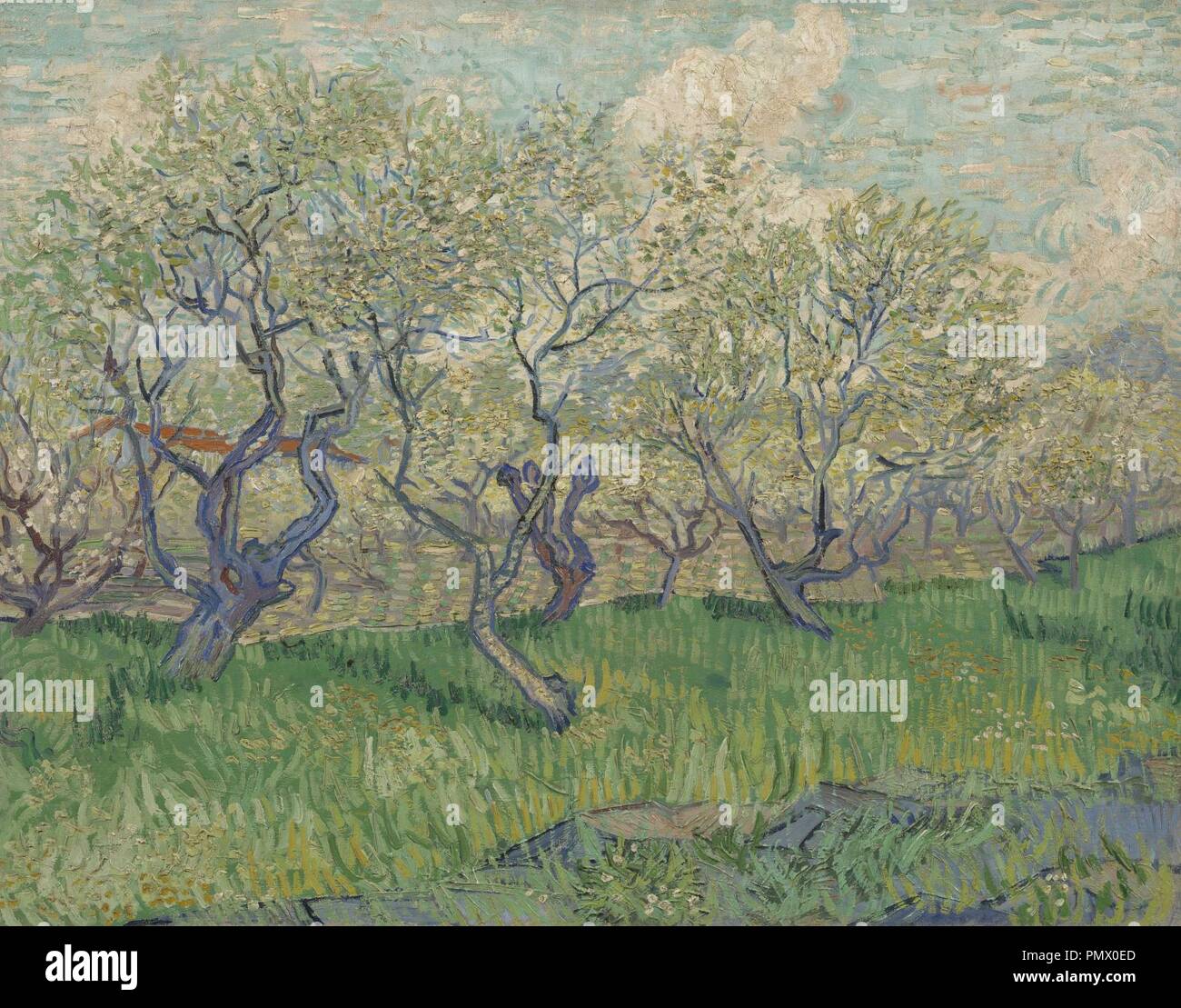 Boomgaard hi-res stock photography and images - Alamy