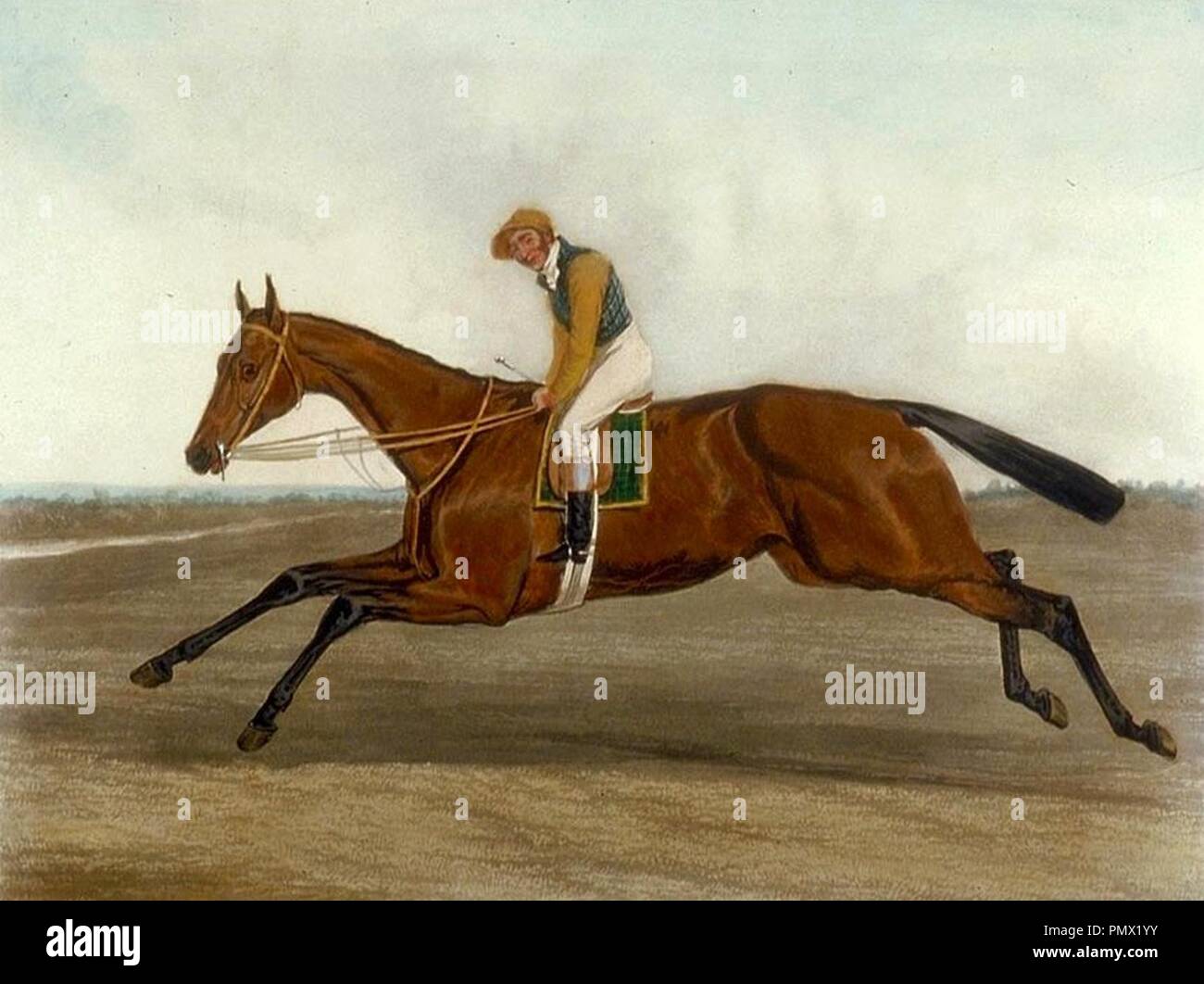 Blue bonnet hi-res stock photography and images - Alamy