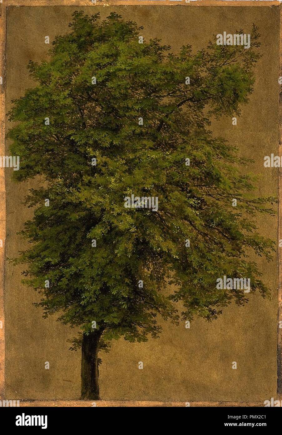 Carl Blechen - Junge Eiche Stock Photo - Alamy