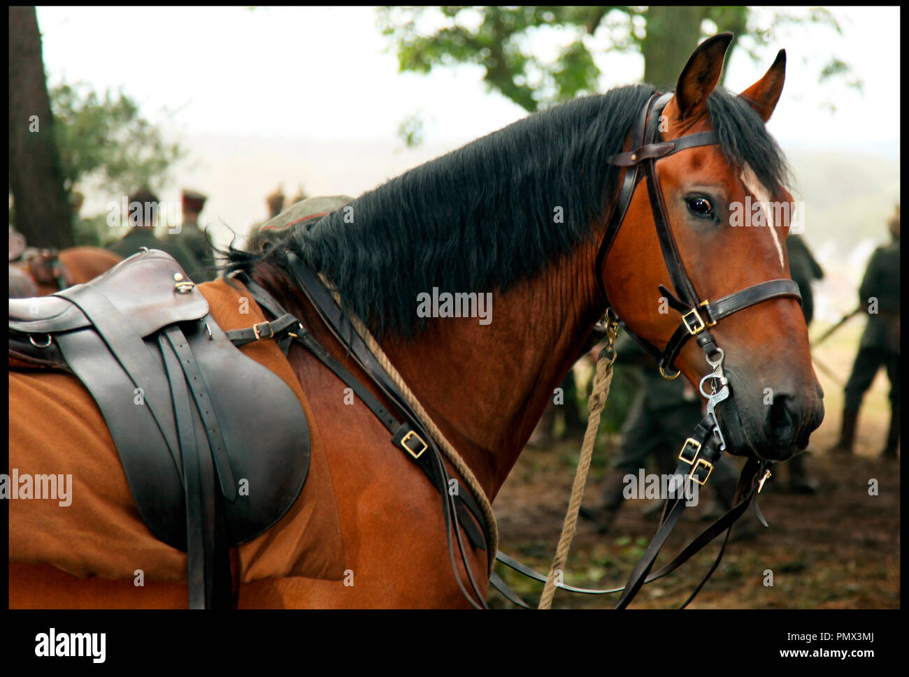 War Horse 2011 Steven Spielberg Stock Photos & War Horse 2011 Steven ...