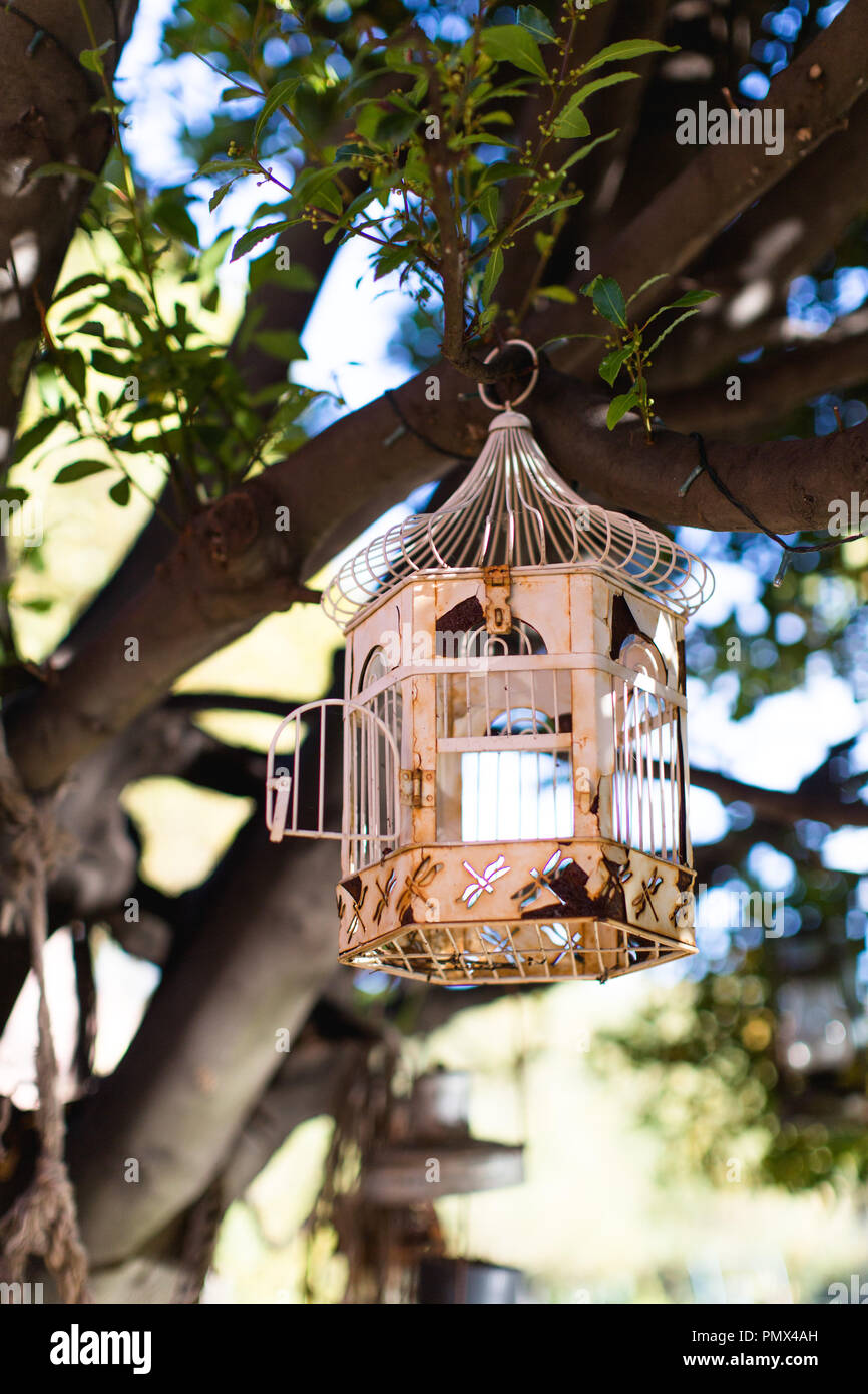 An old oil bird cage with a dragonfly motif hanging in the trees of an ...