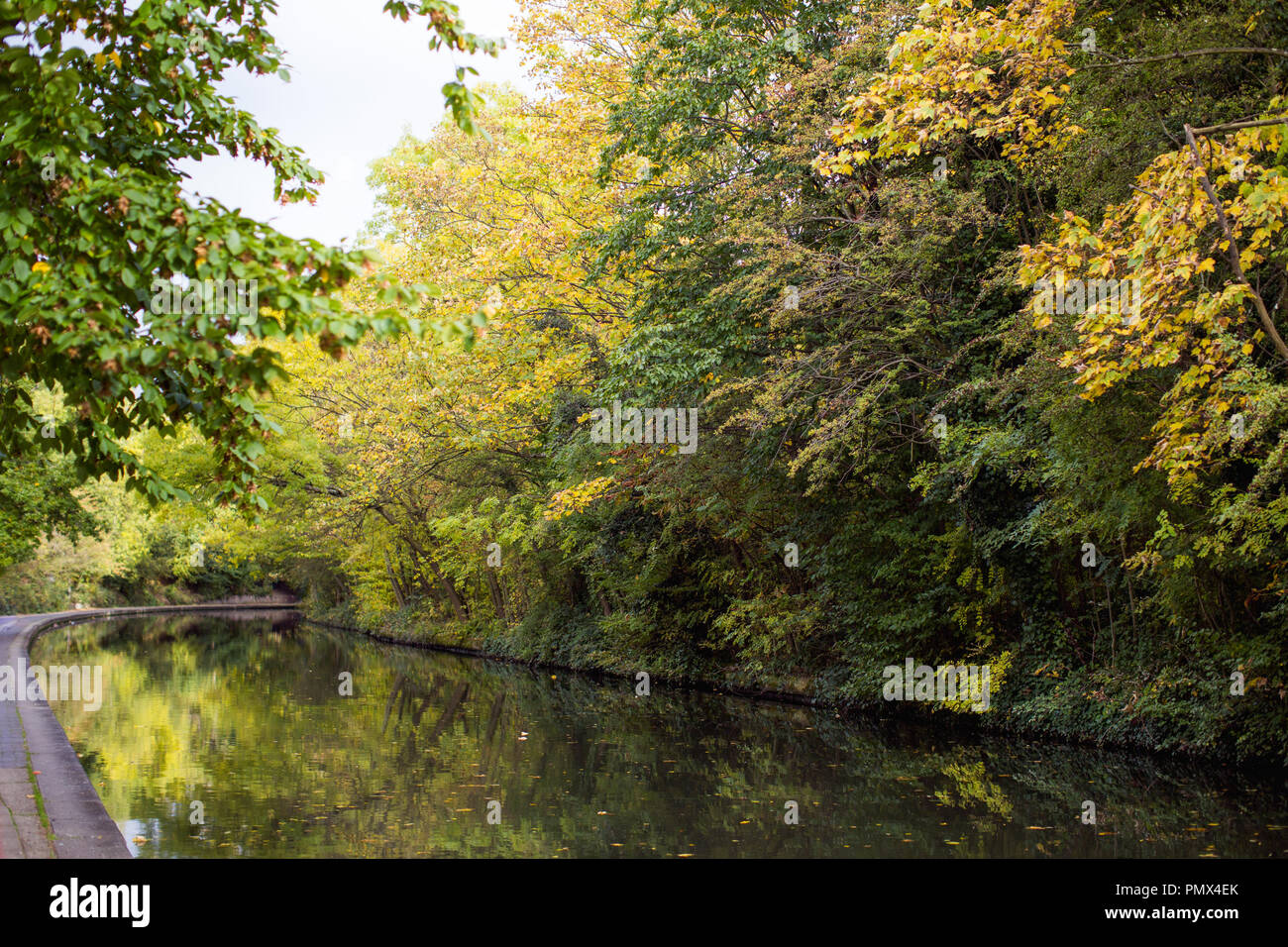 Overhanging trees hi-res stock photography and images - Alamy