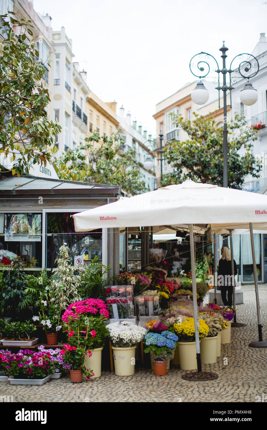 Detail of a flower stall in the street market of Plaza de las Flores ...