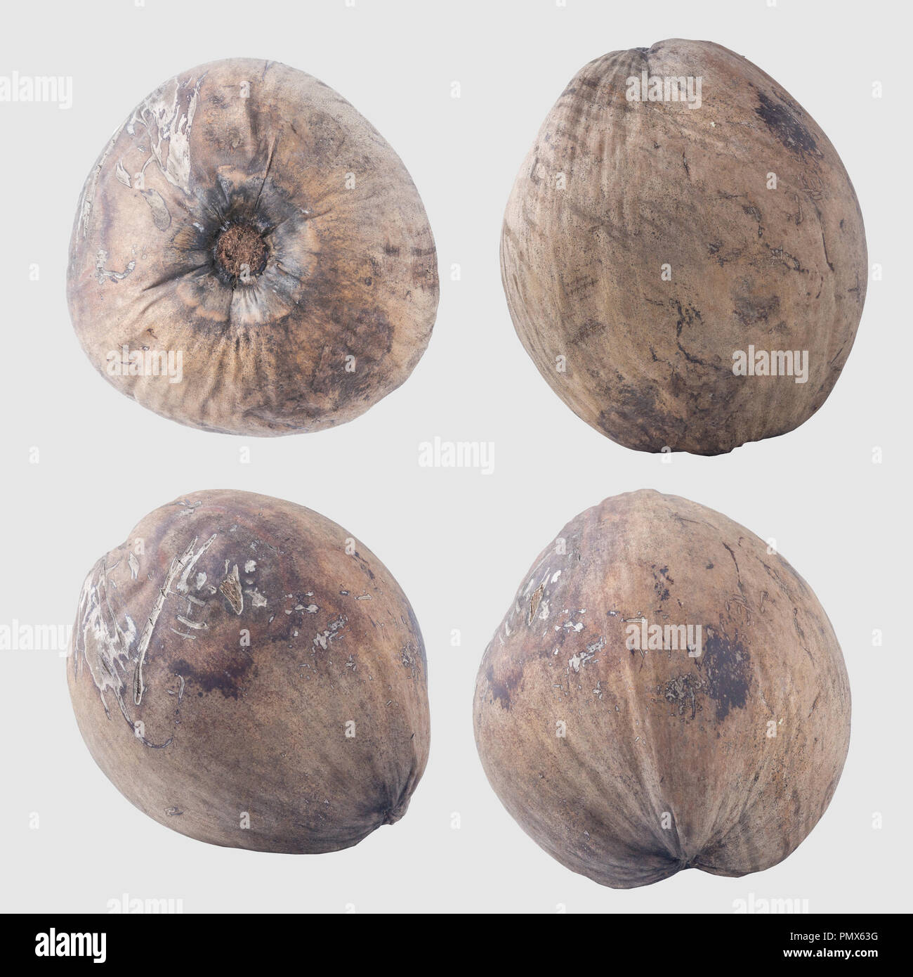 Coconut coconuts fruit half hi-res stock photography and images - Alamy