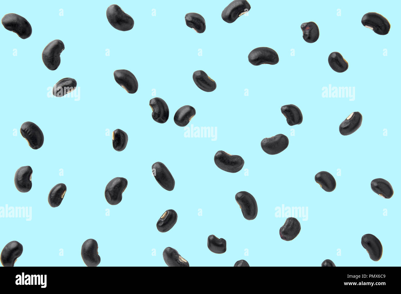 black bean on blue color background and clipping path Stock Photo - Alamy