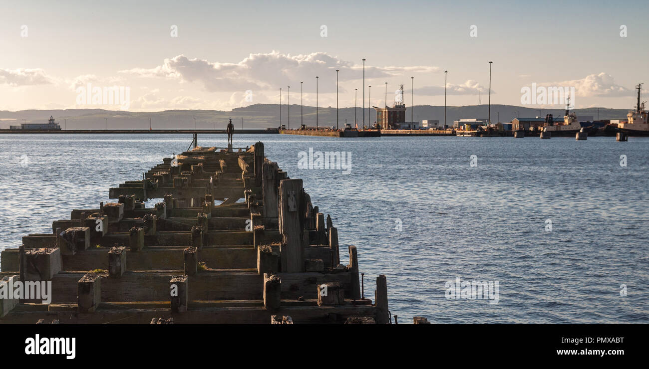 May the forth be with you in the stands hi-res stock photography and ...