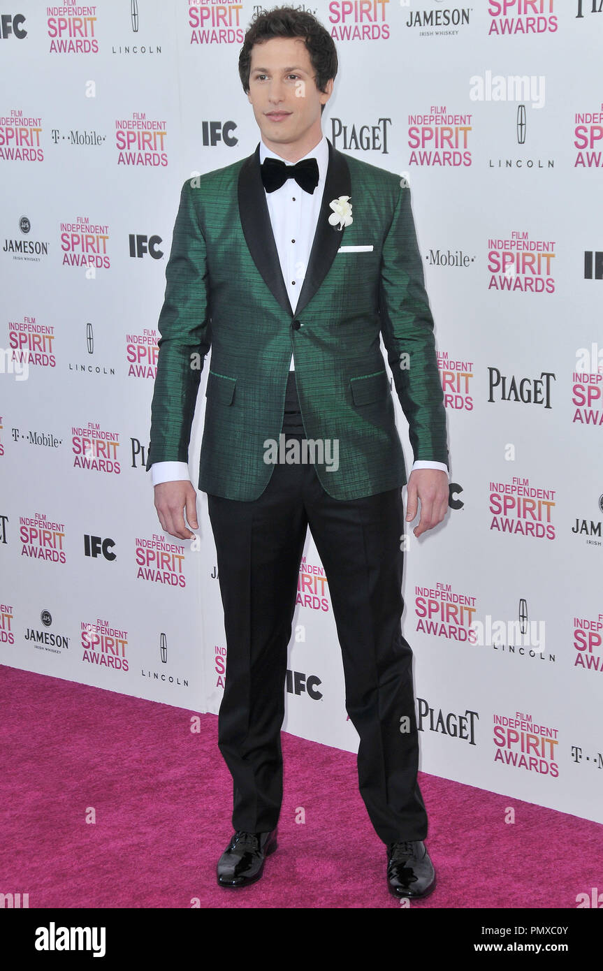 Andy Samberg at the 28th Annual Film Independent Spirit Awards held at ...
