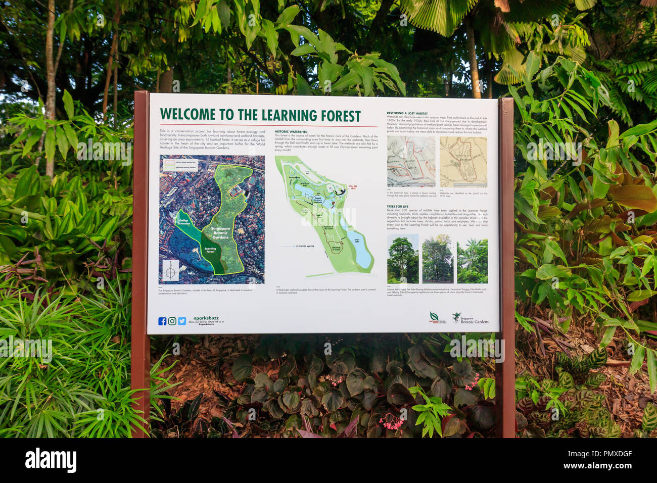 Singapore - July 12, 2018: The Learning Forest At Singapore Botanic ...