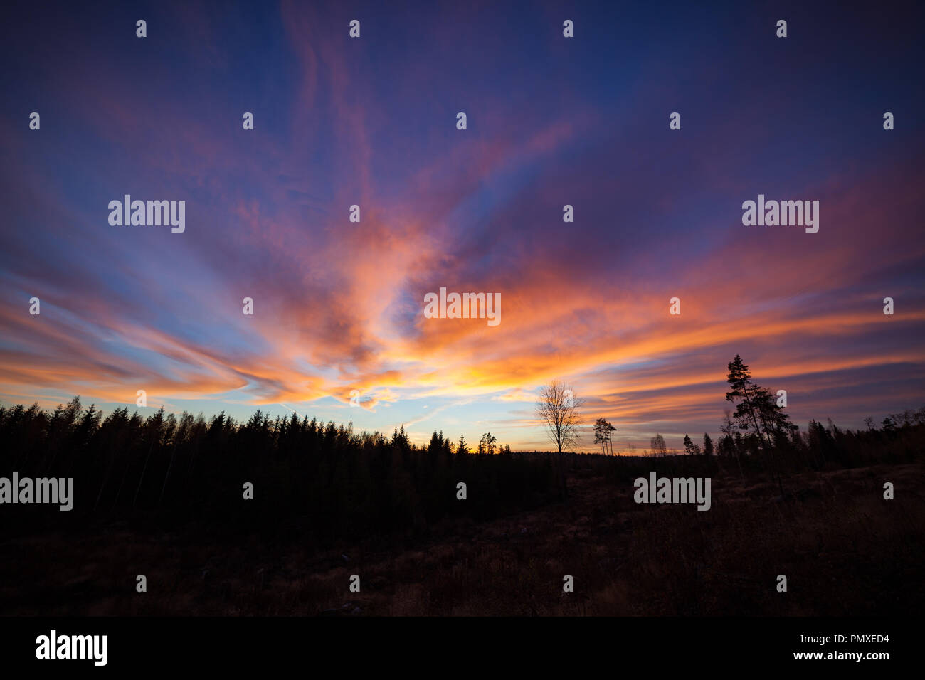 Beautiful vibrant sunset clouds landscape in finland Stock Photo - Alamy