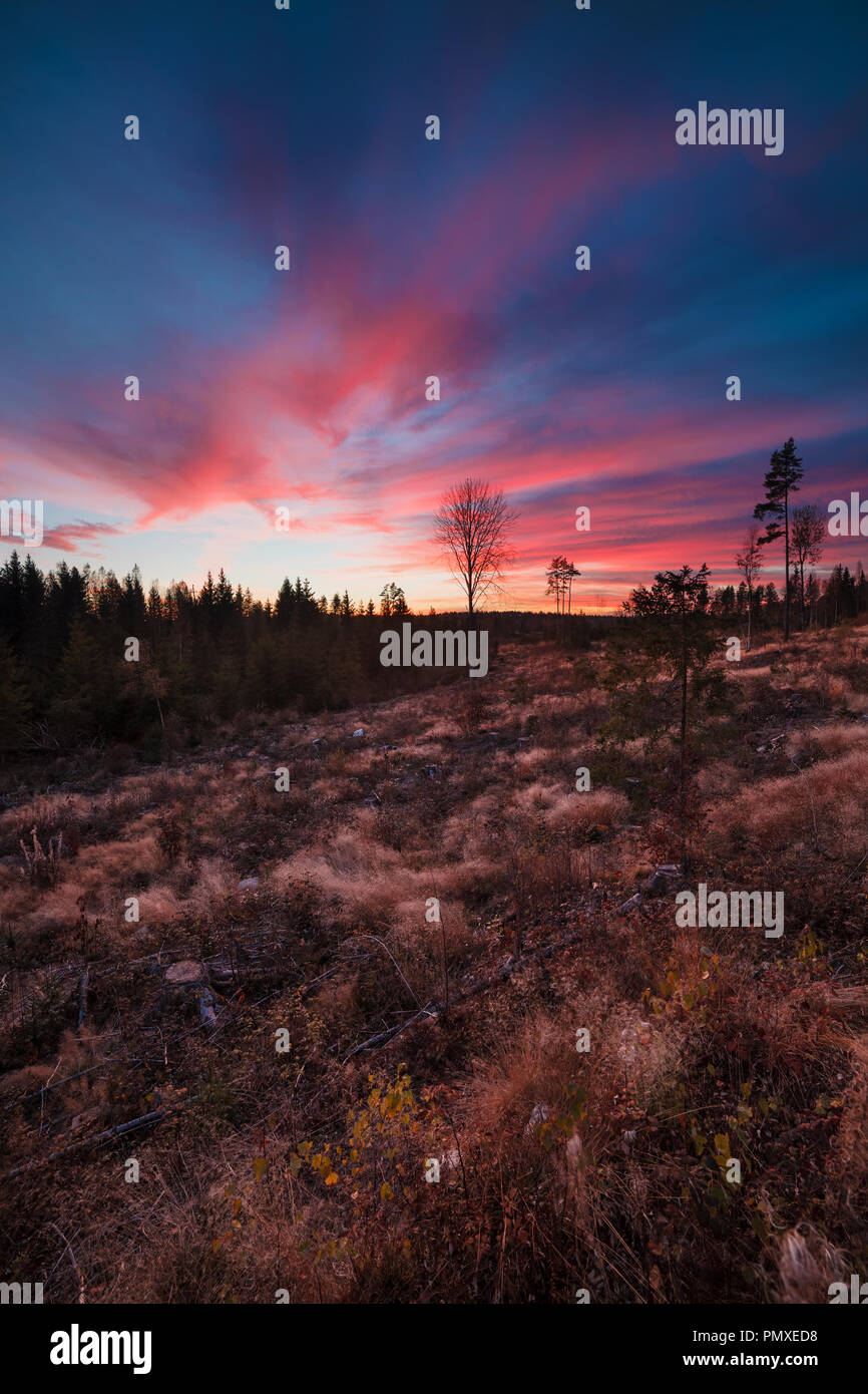 Beautiful vibrant sunset clouds landscape in finland Stock Photo - Alamy