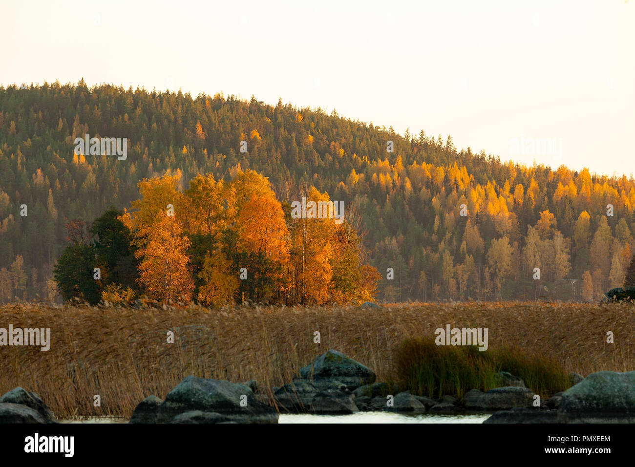 Serene ridge hi-res stock photography and images - Alamy