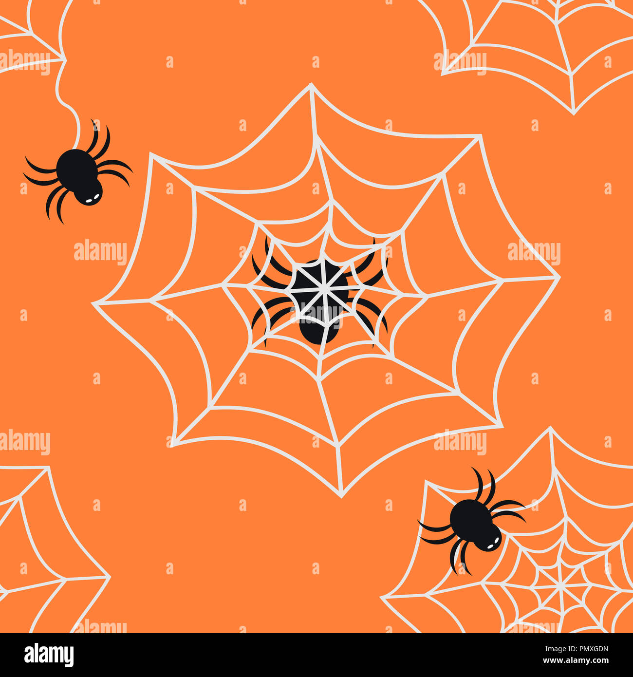 Gray With Orange Back Spider