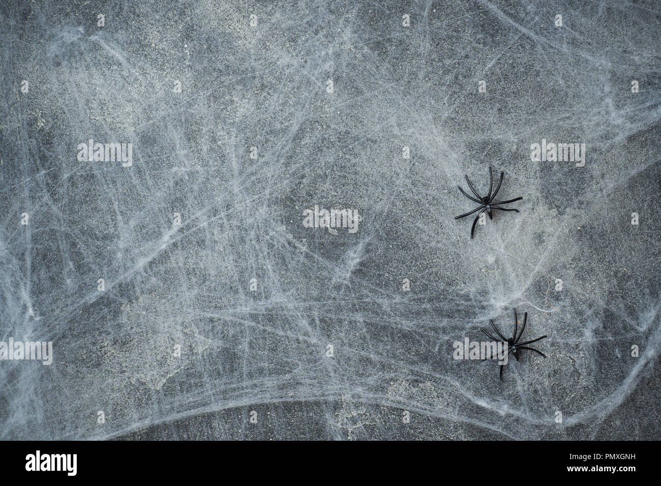 Halloween concept, a dark background old wall with cobwebs, greeting ...