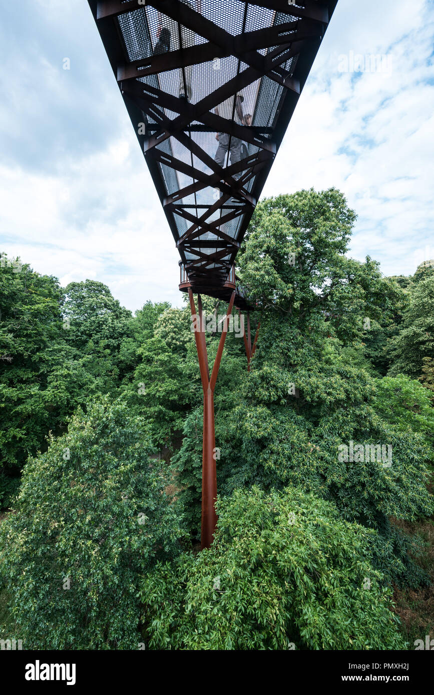 Tree Top Walkway - Kew Gardens Stock Photo - Alamy