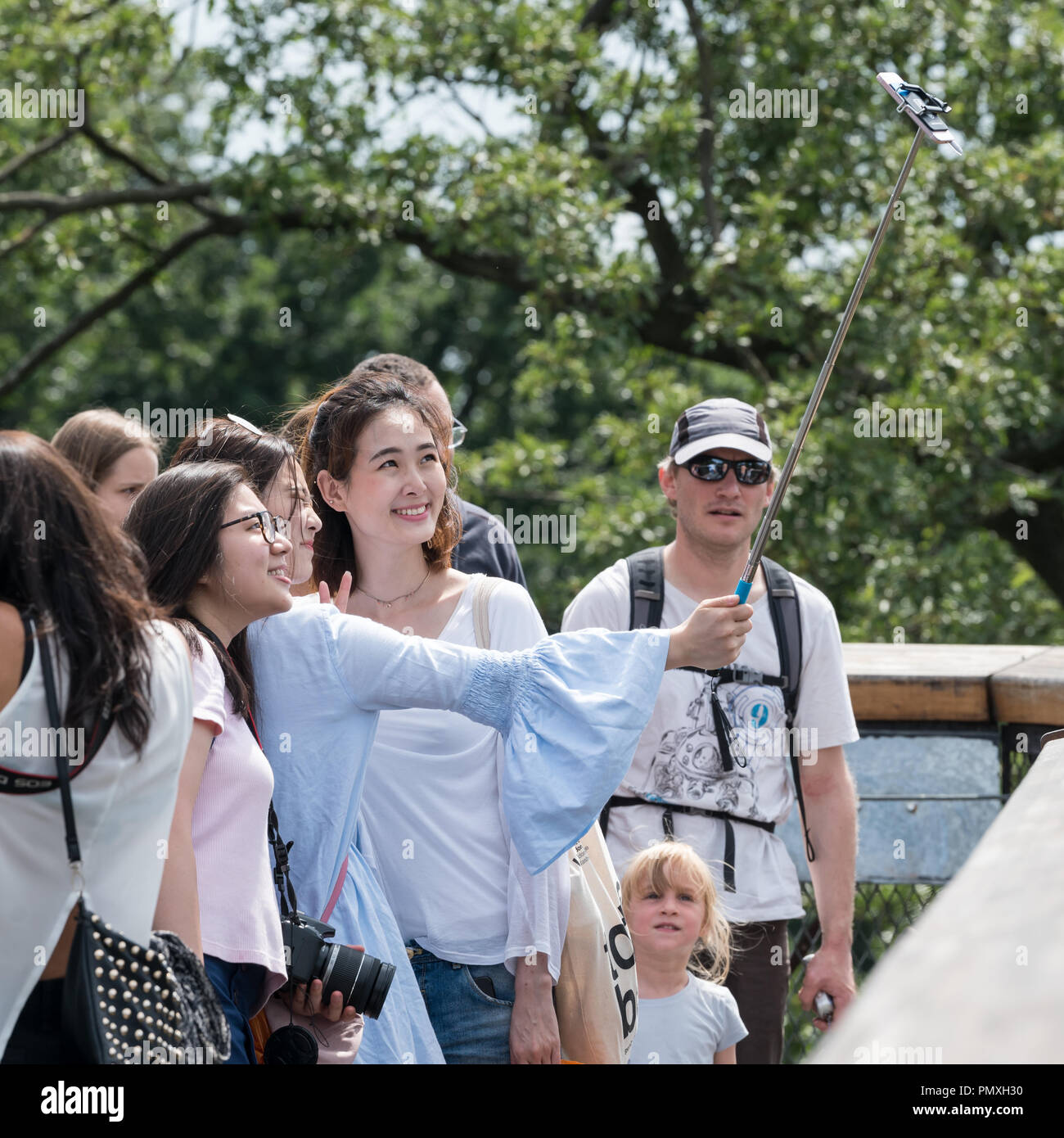 Tree Top Walkway - Kew Gardens Stock Photo - Alamy