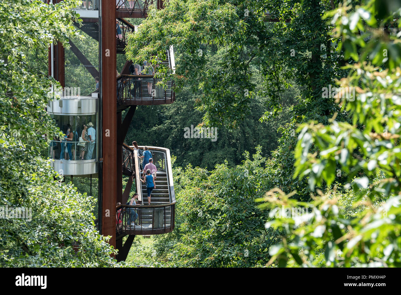 Kew treetop walkway hi-res stock photography and images - Alamy