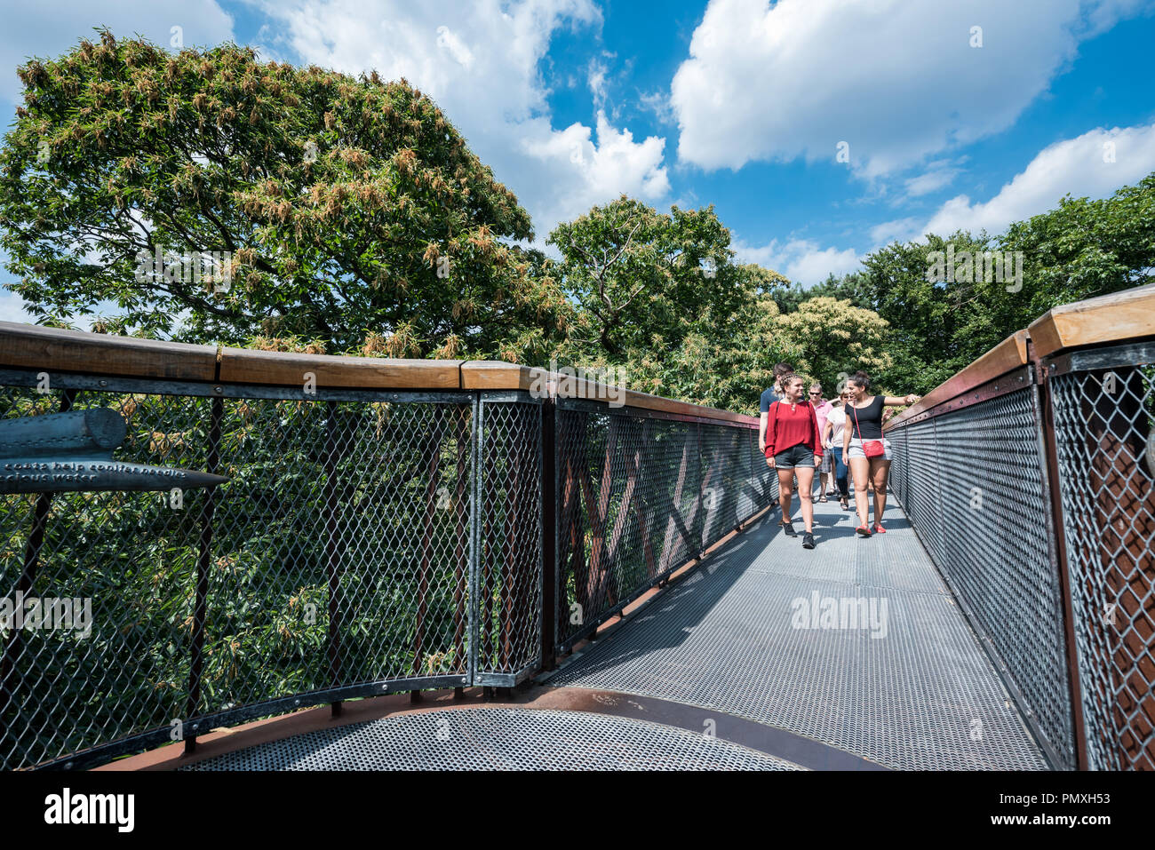 Tree Top Walkway - Kew Gardens Stock Photo - Alamy