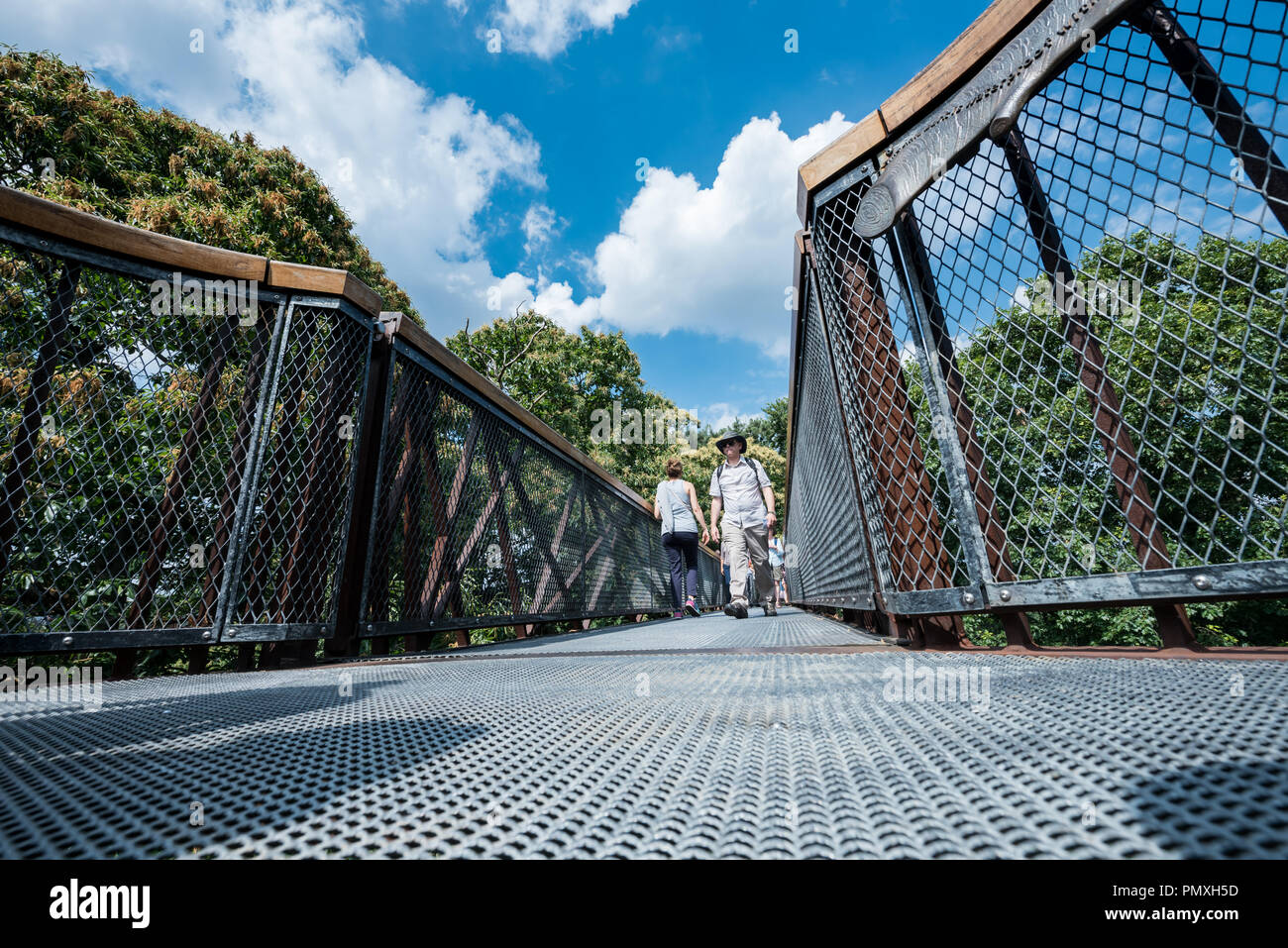 Tree Top Walkway - Kew Gardens Stock Photo - Alamy