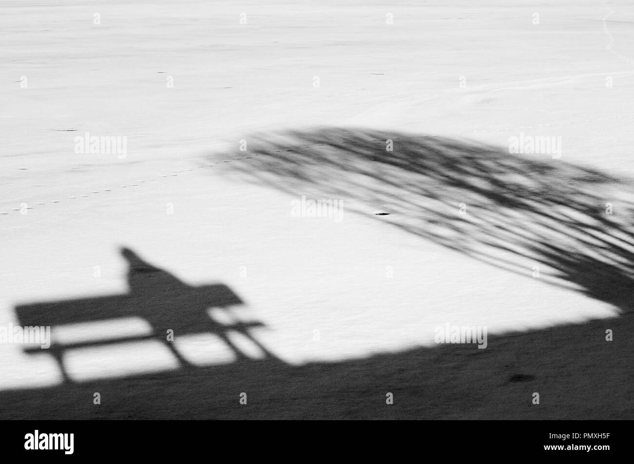 shadow of man, blach and white Stock Photo - Alamy