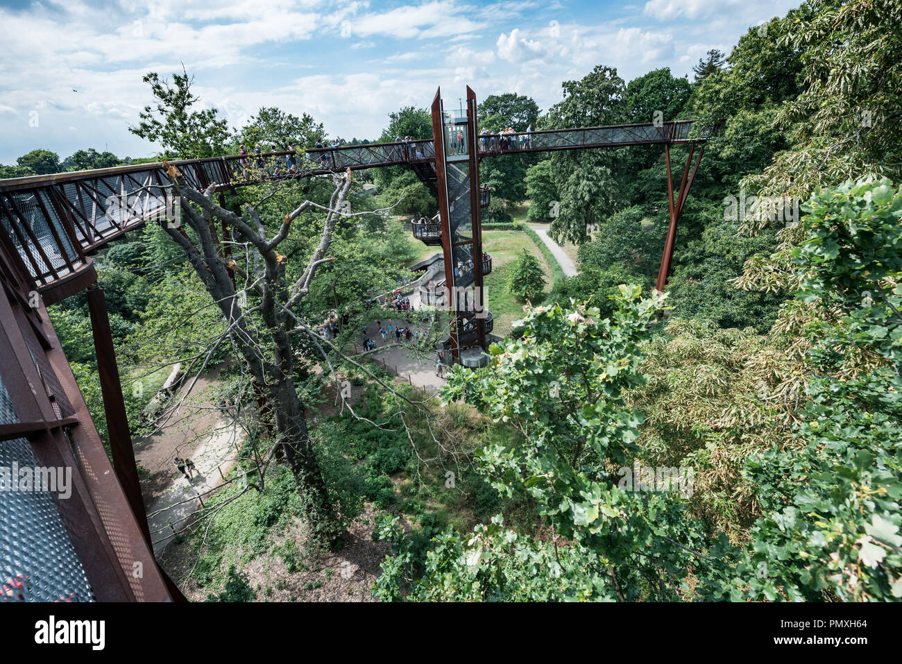 Tree Top Walkway - Kew Gardens Stock Photo - Alamy