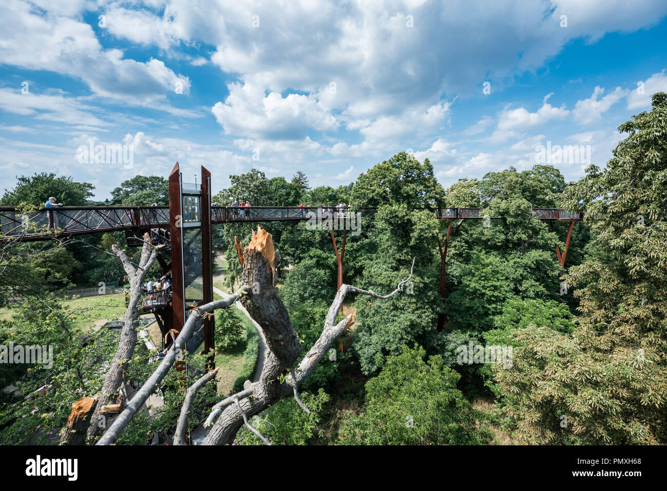 Tree Top Walkway - Kew Gardens Stock Photo - Alamy