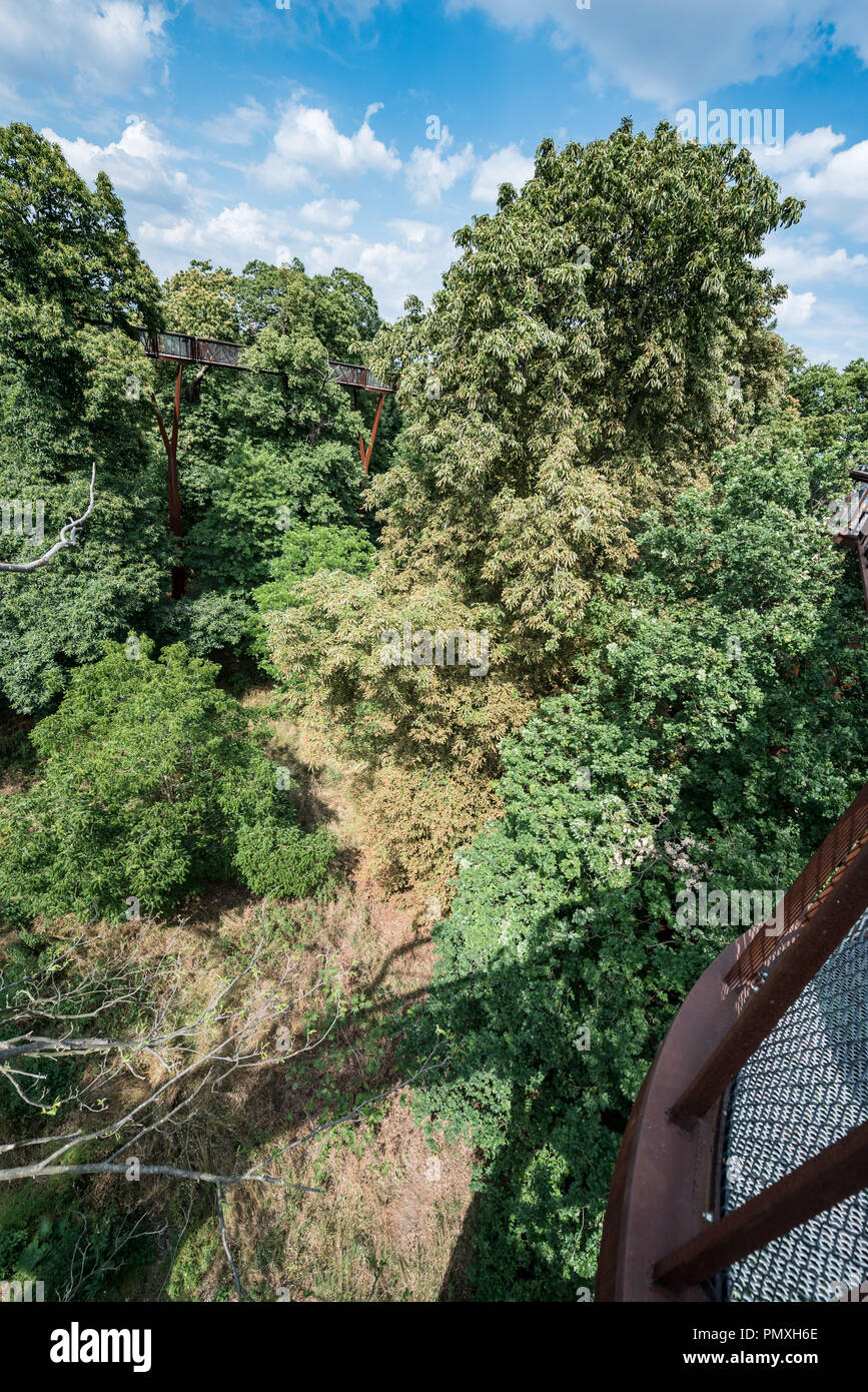 Tree Top Walkway - Kew Gardens Stock Photo - Alamy
