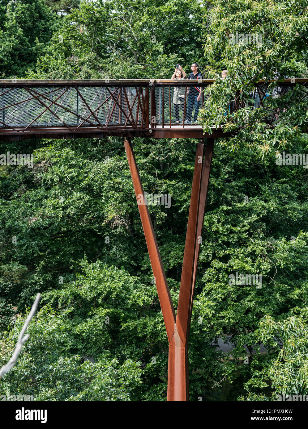 Tree Top Walkway - Kew Gardens Stock Photo - Alamy