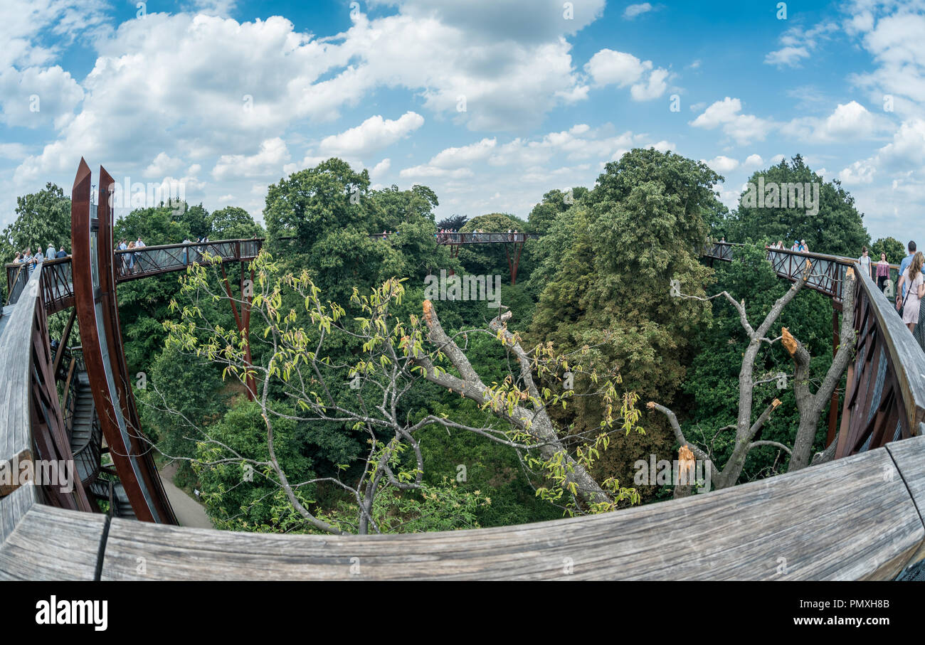 Tree Top Walkway - Kew Gardens Stock Photo - Alamy