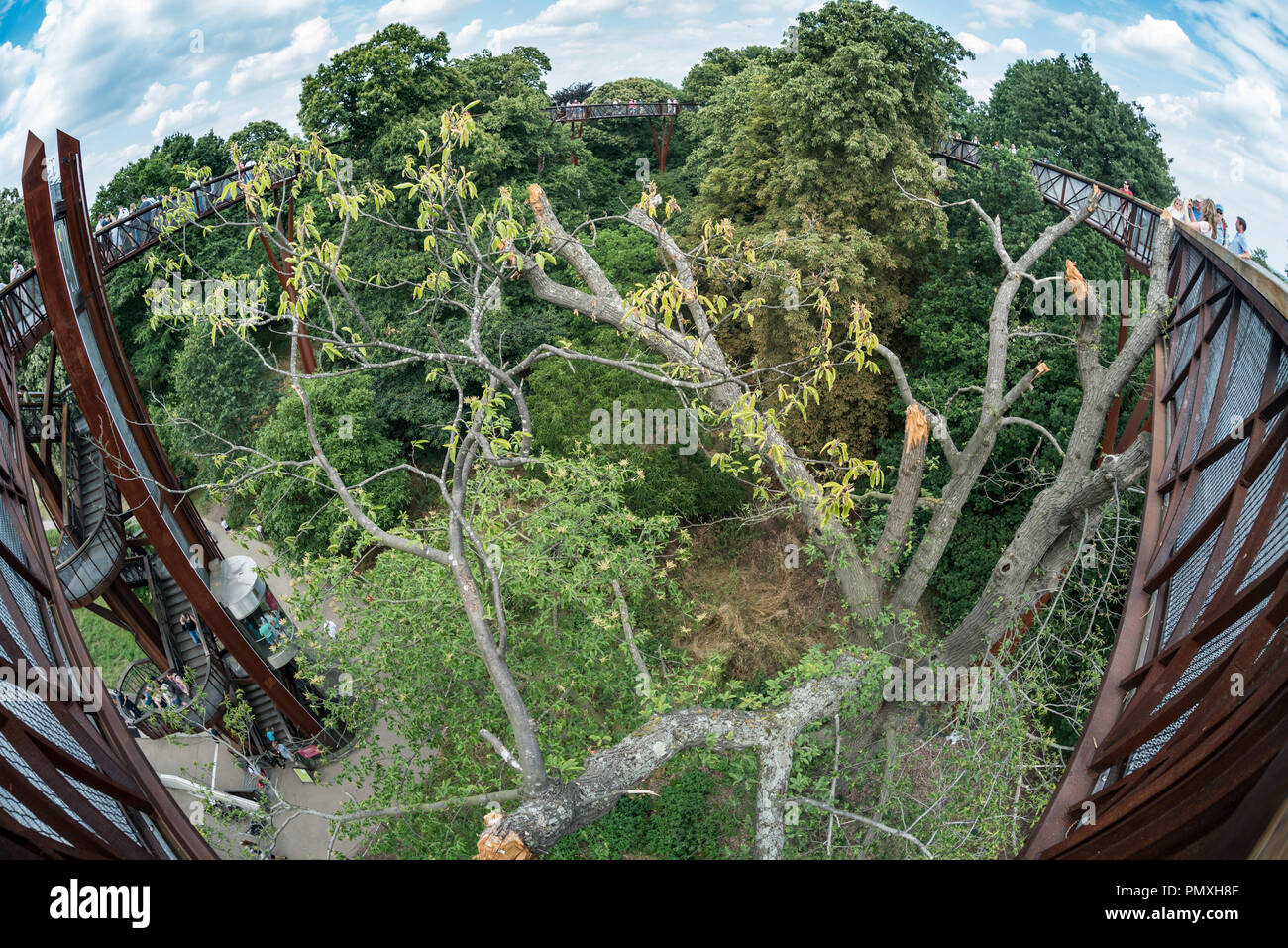 Tree Top Walkway - Kew Gardens Stock Photo - Alamy