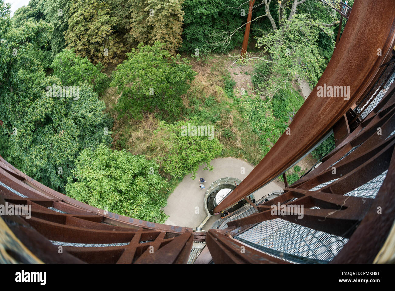 Tree Top Walkway - Kew Gardens Stock Photo - Alamy